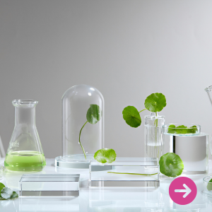 Cosmetice Coreene – Ritualul Frumusetii Autentice : Bebe Tei